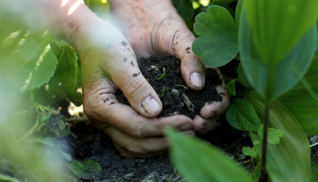 Why Green Cleaning? The soil. – Safi Home Works